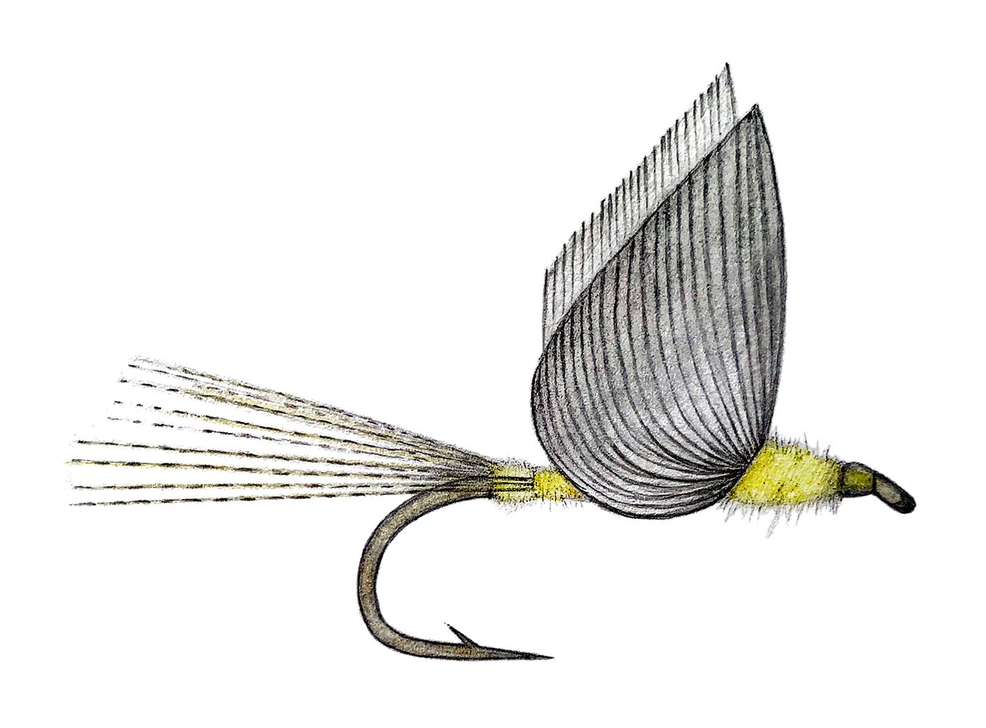 The Feather Mechanic | Gordon van der Spuy - Fly Fusion
