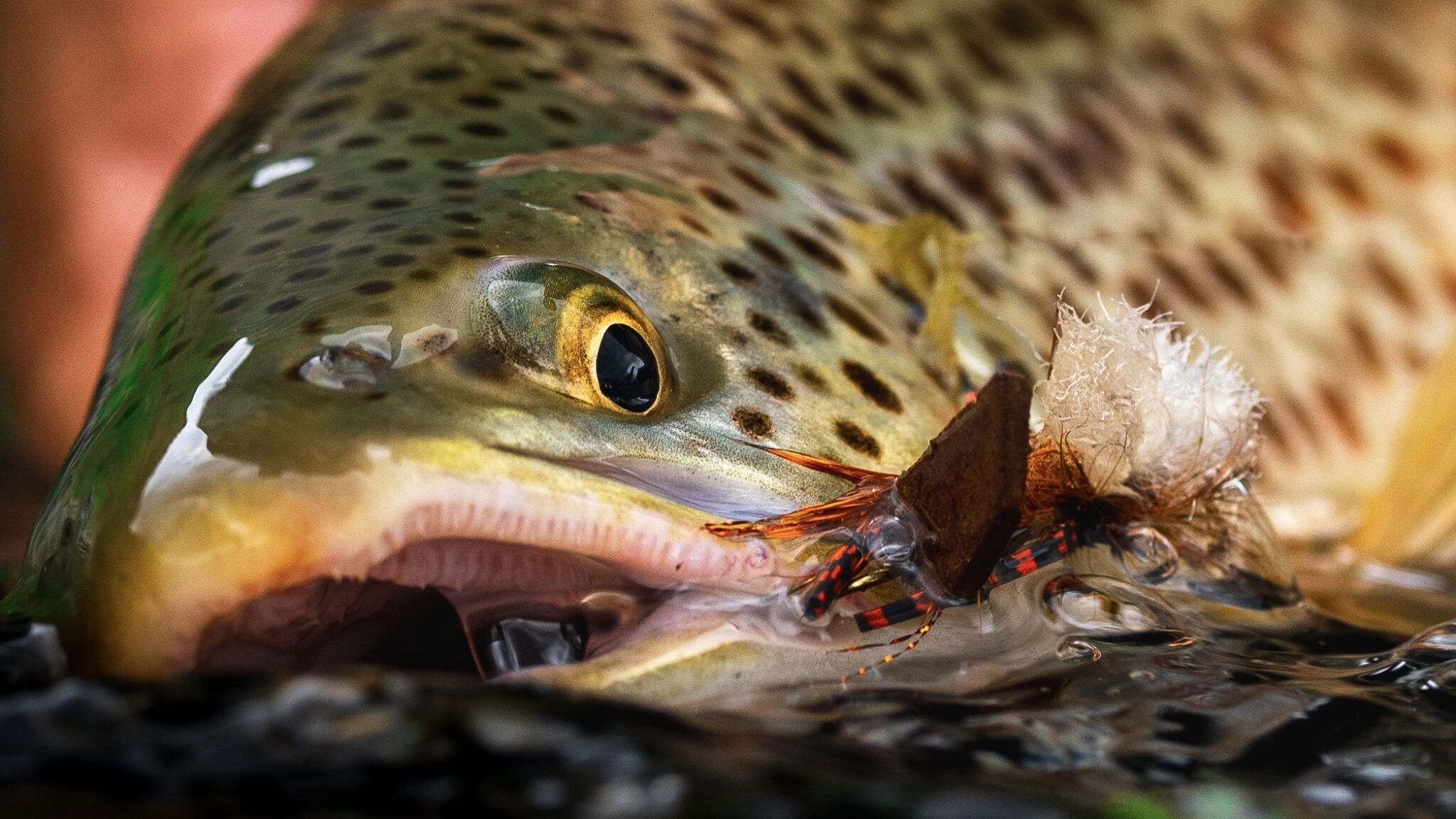 Kirk Deeter's Lesson on Picking Bugs - Fly Fusion